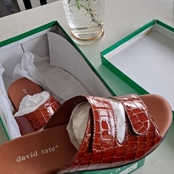 David Tate | Shoes | David Tate New Croc Slides 65w | Poshmark